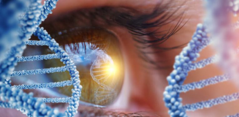 Le LUMEVOQ™ de Gensight, un traitement de thérapie génique va être ...